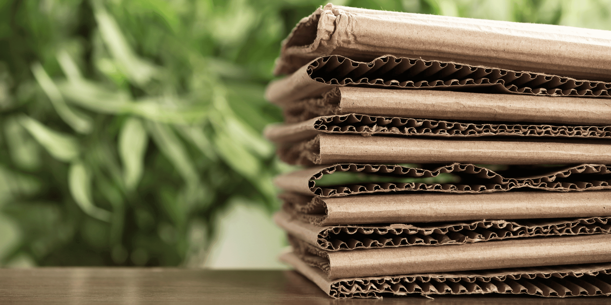 The UNO sustainability journey